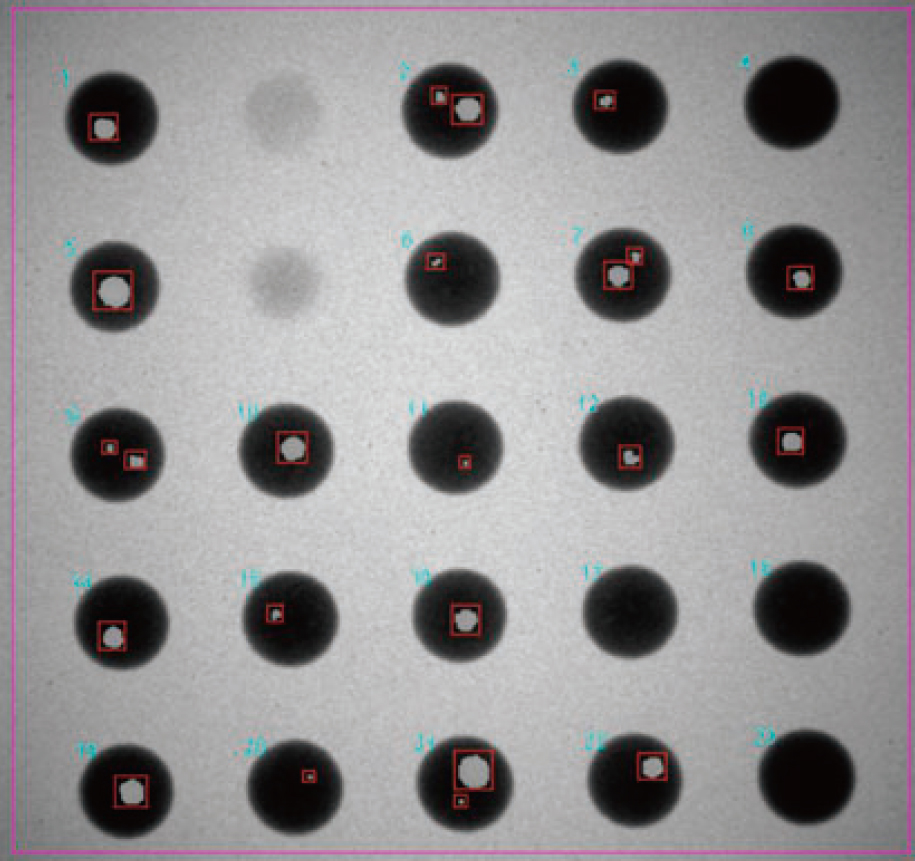 Automatic wafer bump void inspection system【Automated nano- and micro ...